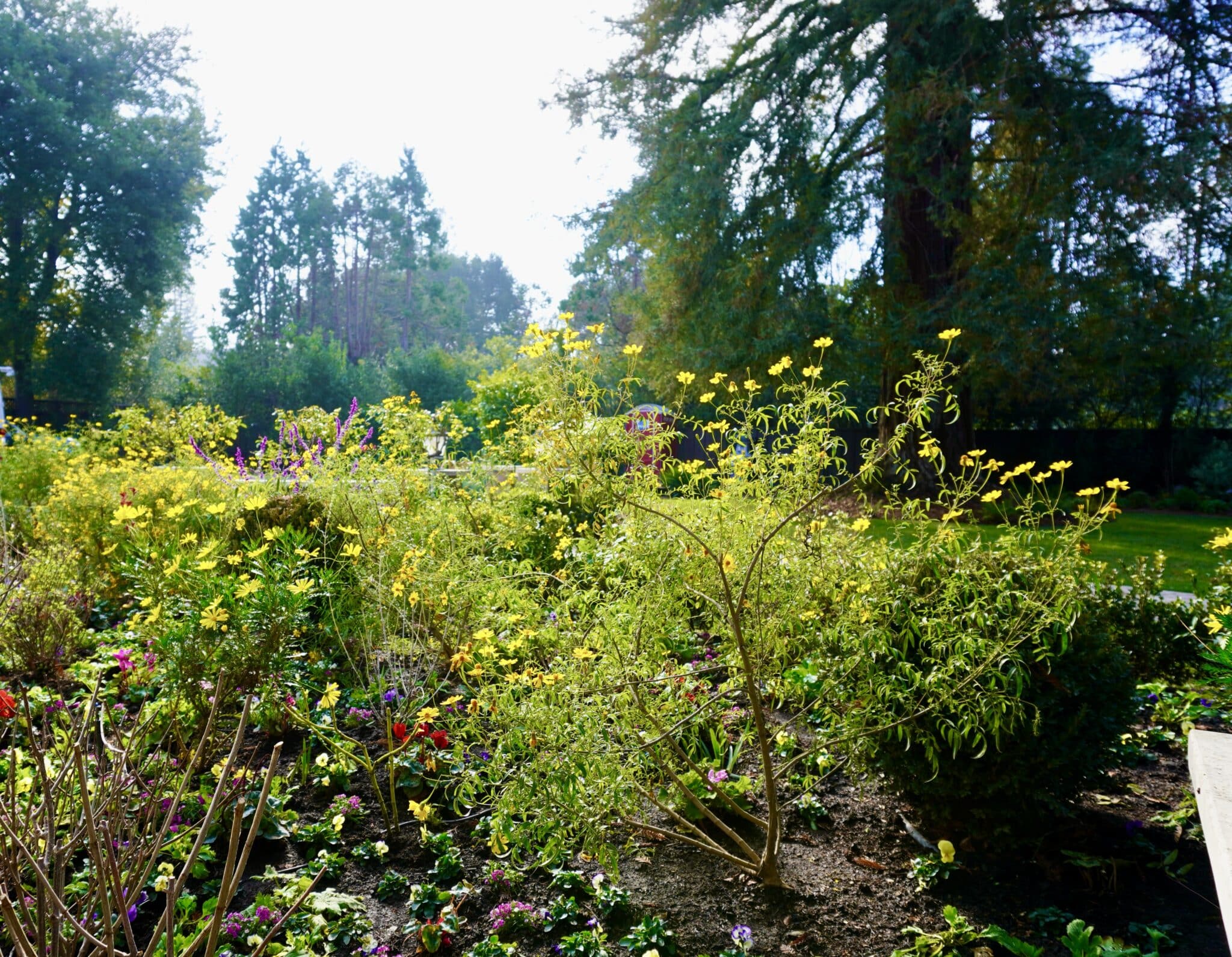 Sustainable Garden Design: Using Recycled and Reclaimed Materials ...