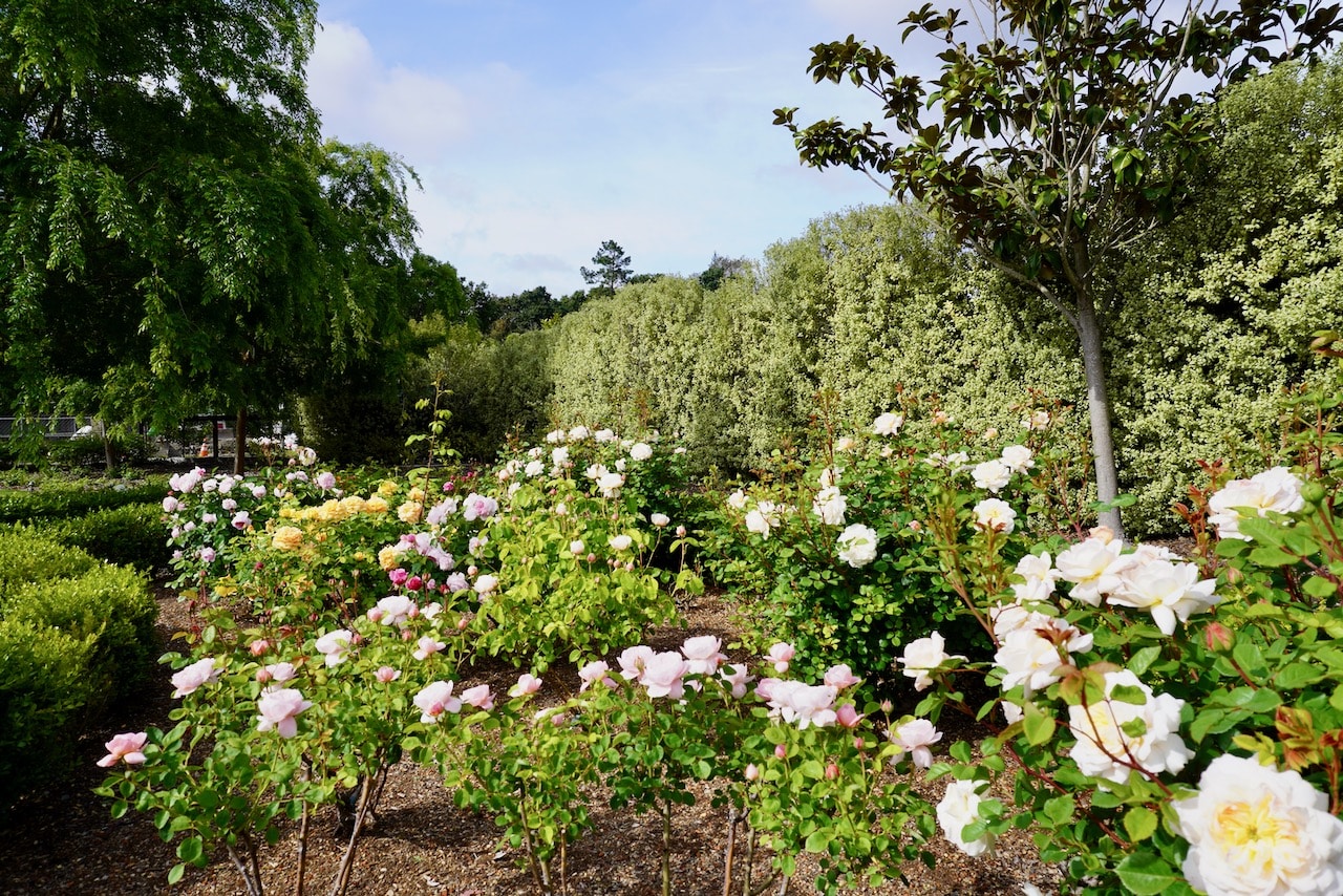 Entangled Landscapes: Bridging the Gap Between Nature and Design ...