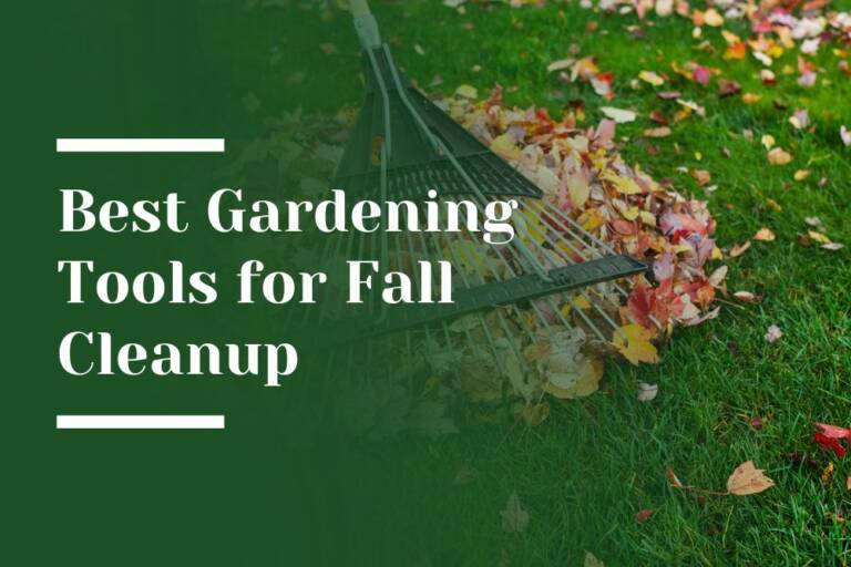 Best Fall Gardening Tools for Bay Area Landscapes - Petrus Landscaping