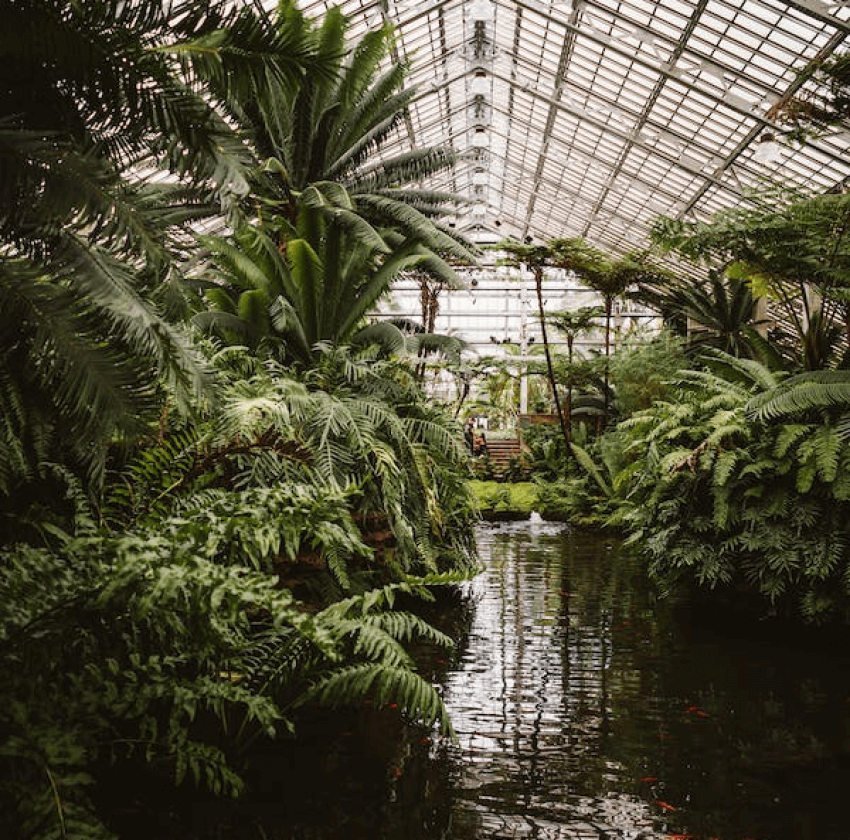 Bay Area Landscape Design | Estate Landscaping | Petrus